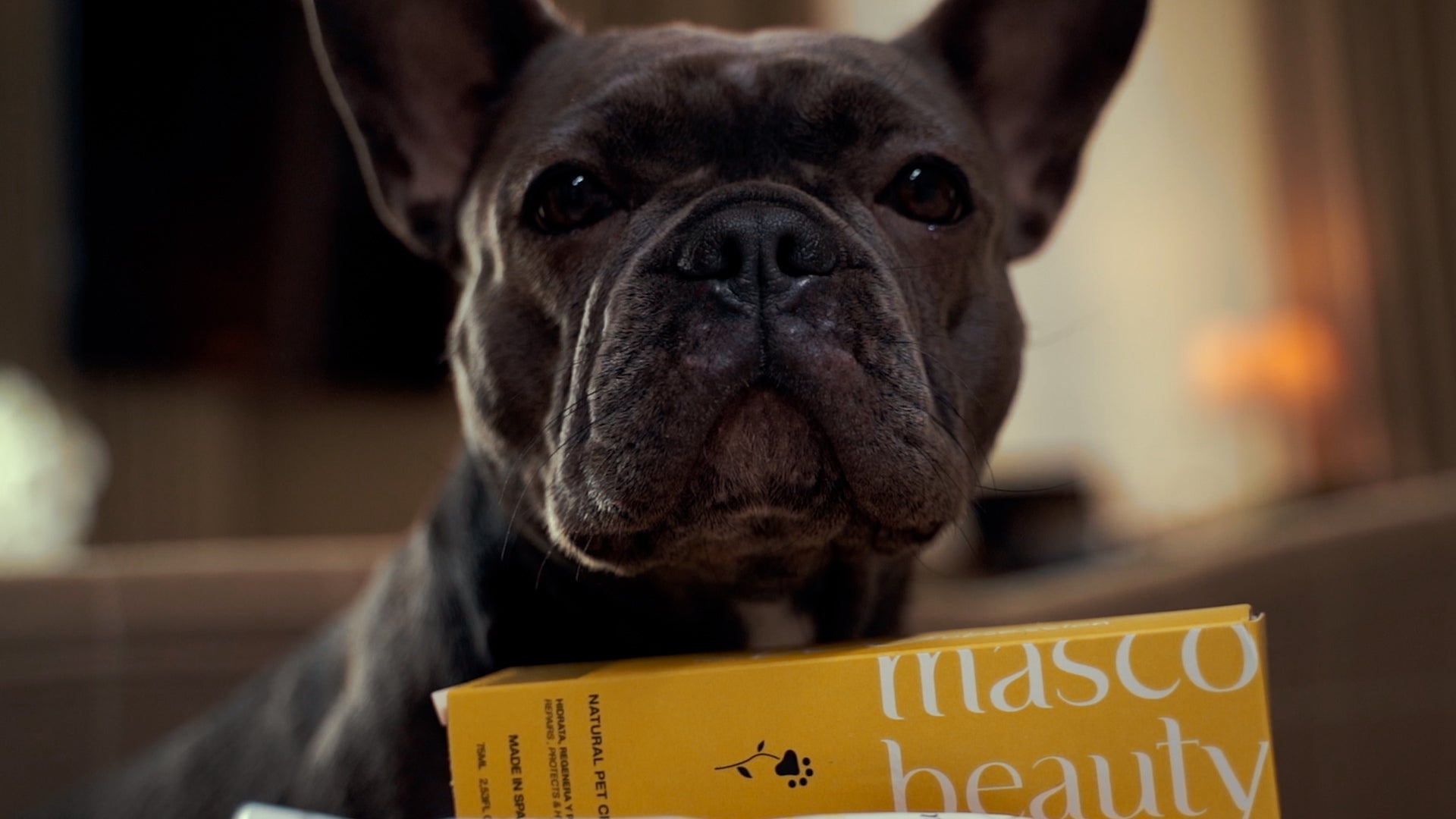 Masco Beauty - Tienda online de cosmética y belleza para mascotas