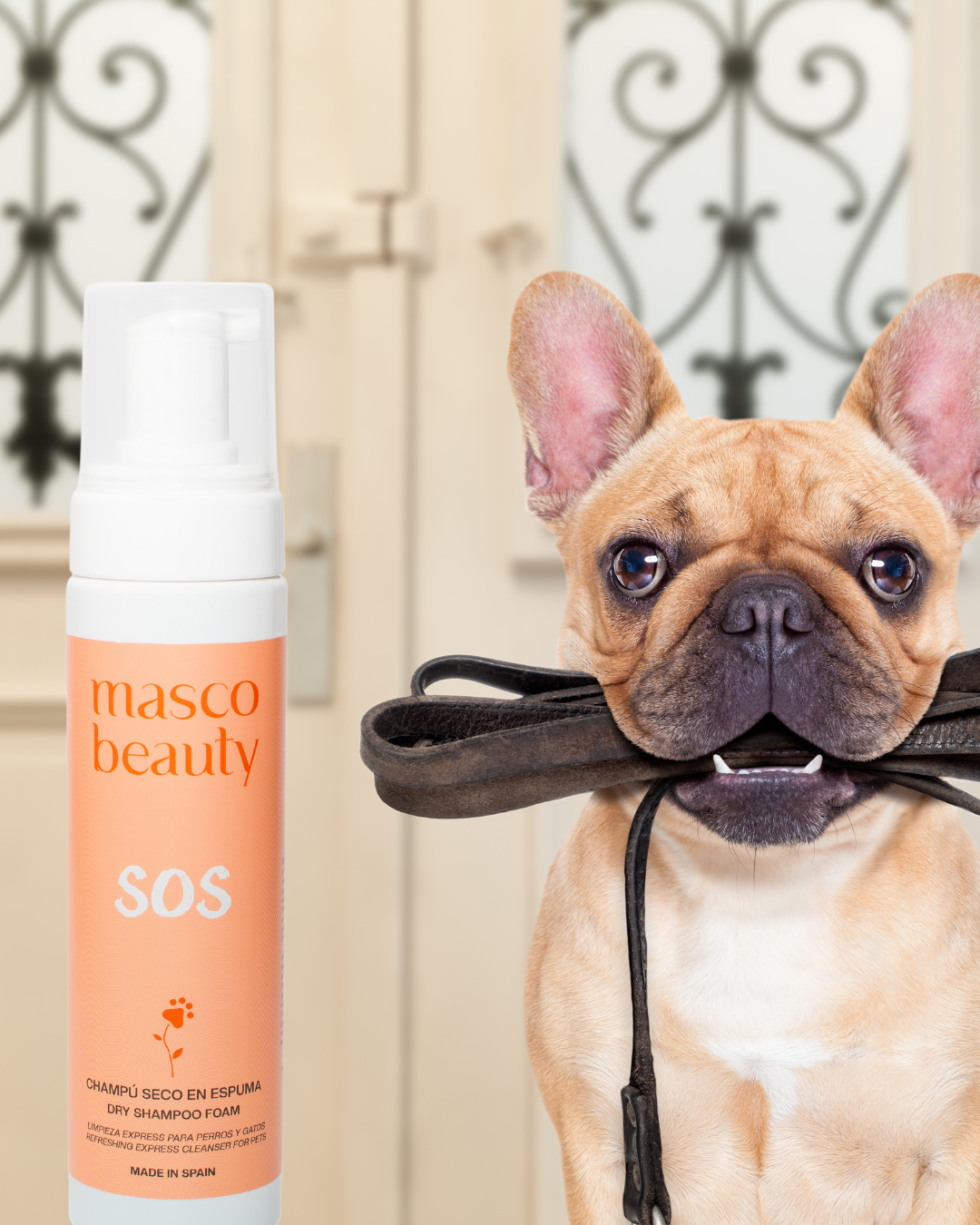 Masco Beauty - Tienda online de cosmética y belleza para mascotas